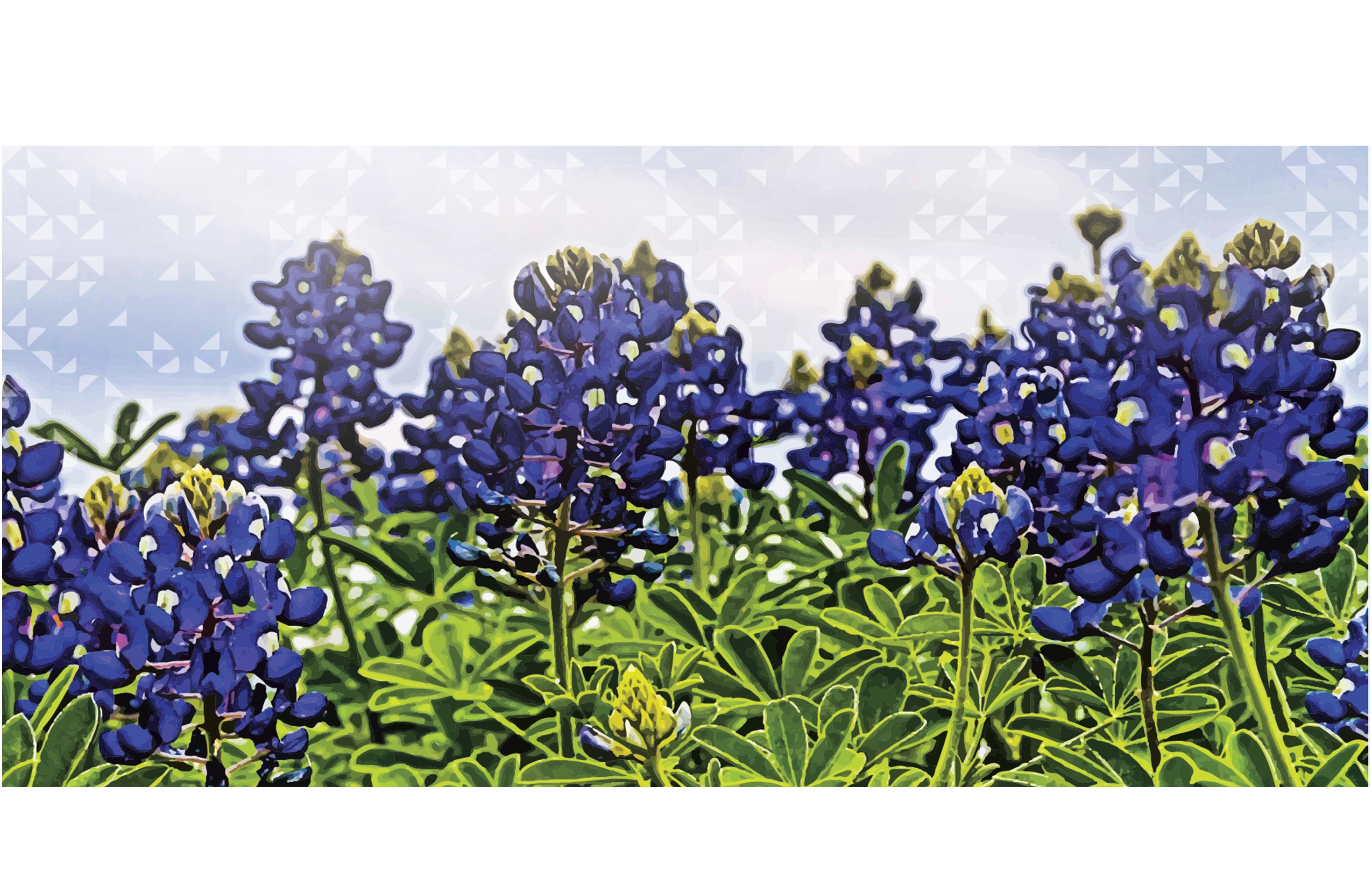 Resources - taad.org